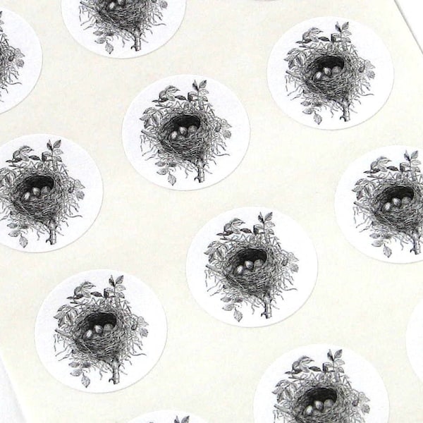 Bird Nest Stickers - Etsy