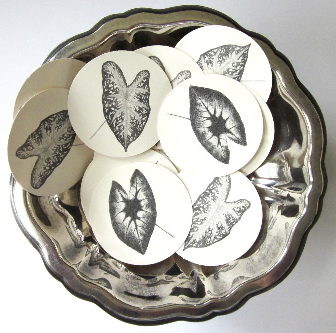 Caladium Leaf Elephant Ears Tags Round Paper Gift Tags Set of 10 - Etsy
