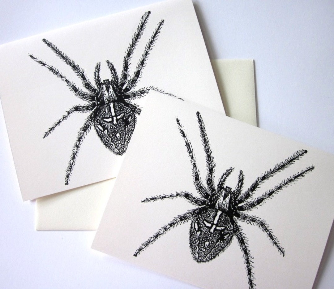 Spider Note Cards Set of 10 in White or Ivory With Matching Envelopes ...