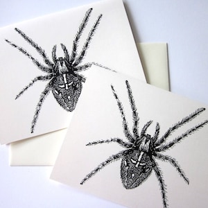 Spider Note Cards Set of 10 in White or Ivory With Matching Envelopes ...