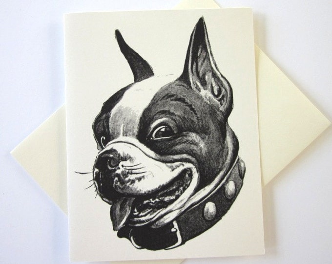 Hunting Dog Note Cards Stationery Set of 10 Cards in White or - Etsy