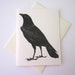 Black Raven Crow Note Card Set of 10 in White or Light Ivory - Etsy