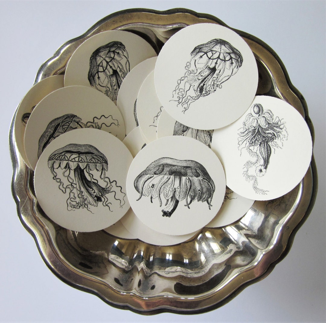 Jellyfish Tags Round Paper Gift Tags Set of 10 - Etsy