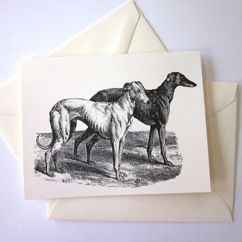 Greyhound Card Greyhound Greetings Card Greyhound Gift | Etsy
