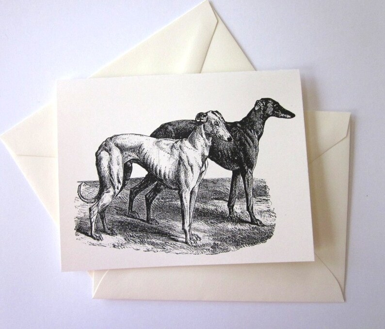 Greyhound Dog Note Cards Set of 10 With Matching Envelopes - Etsy