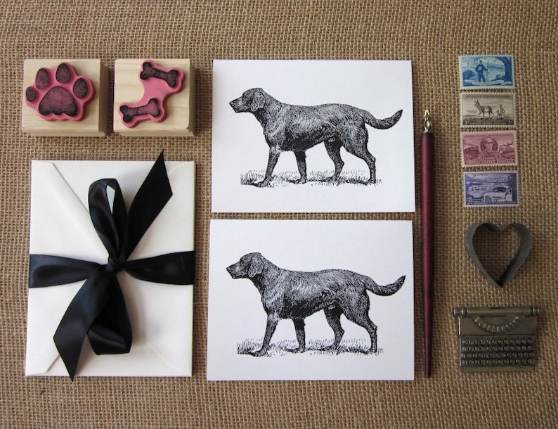 Black Labrador Retriever Dog Note Cards Stationery Set of 10 - Etsy