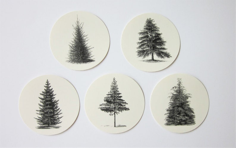 Pine Tree Tags Round Gift Tags Set of 10 Five Pine Tree Images - Etsy