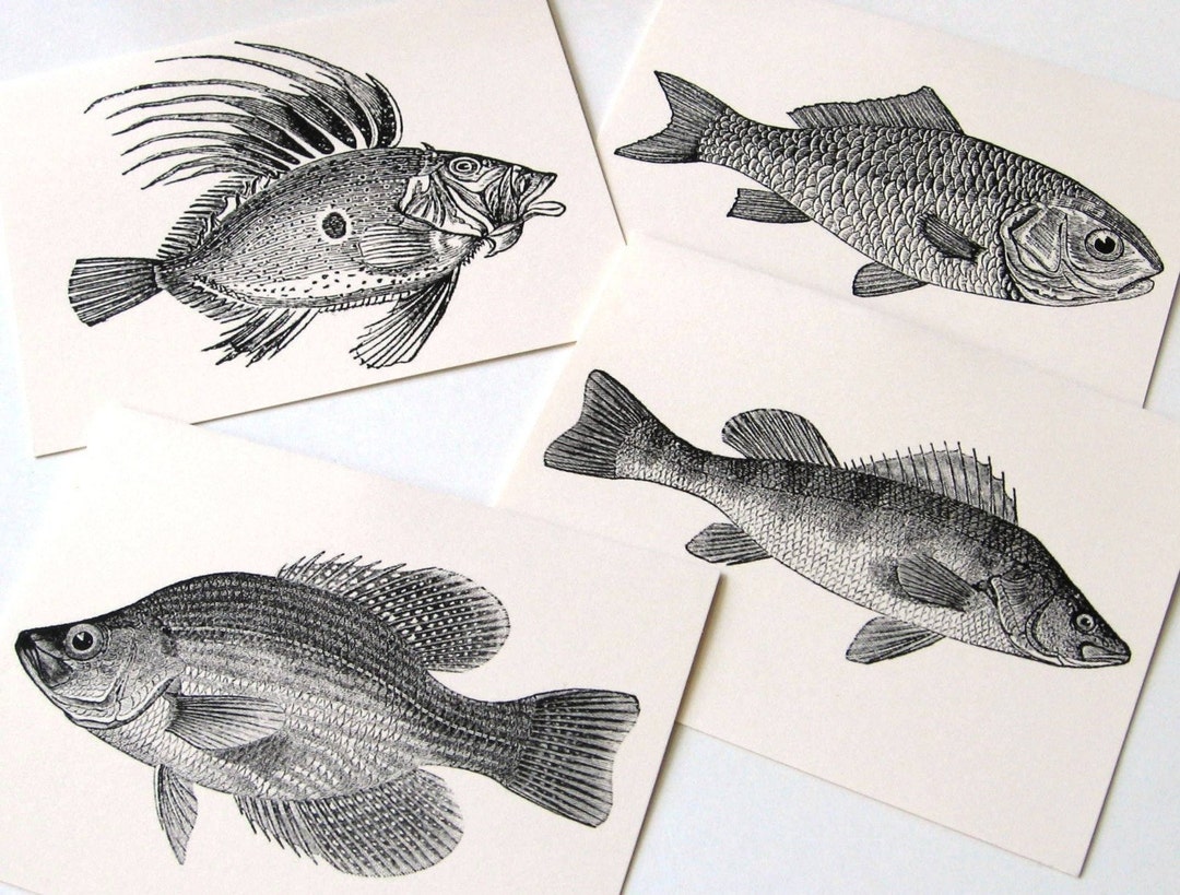 Fish Note Cards Stationery Set of 12 Cards in White or Light Ivory With ...
