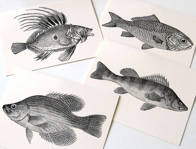 Fish Note Cards Stationery Set of 12 Cards in White or Light - Etsy