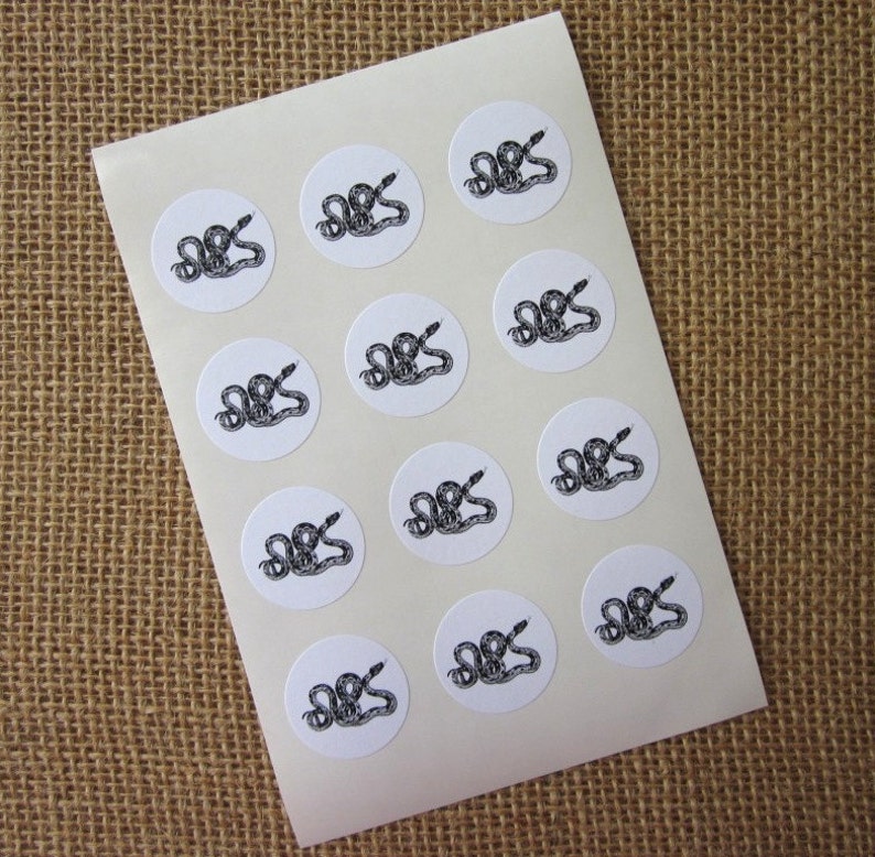 Snake Note Cards Set of 10 with Matching Envelopes | Etsy