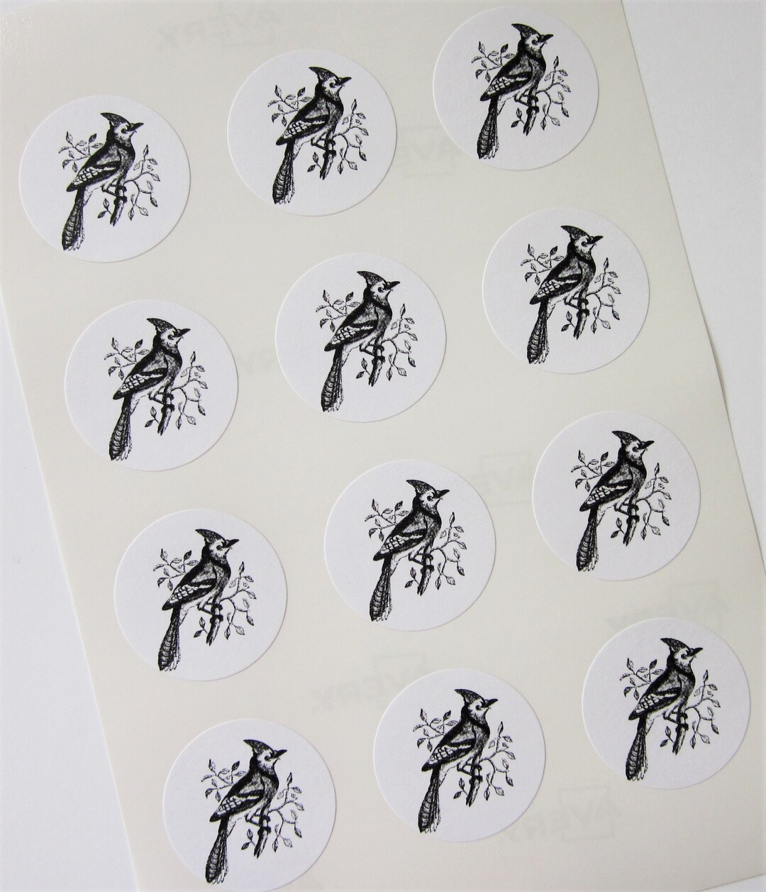 Blue Jay Bird Stickers One Inch Round Seals - Etsy