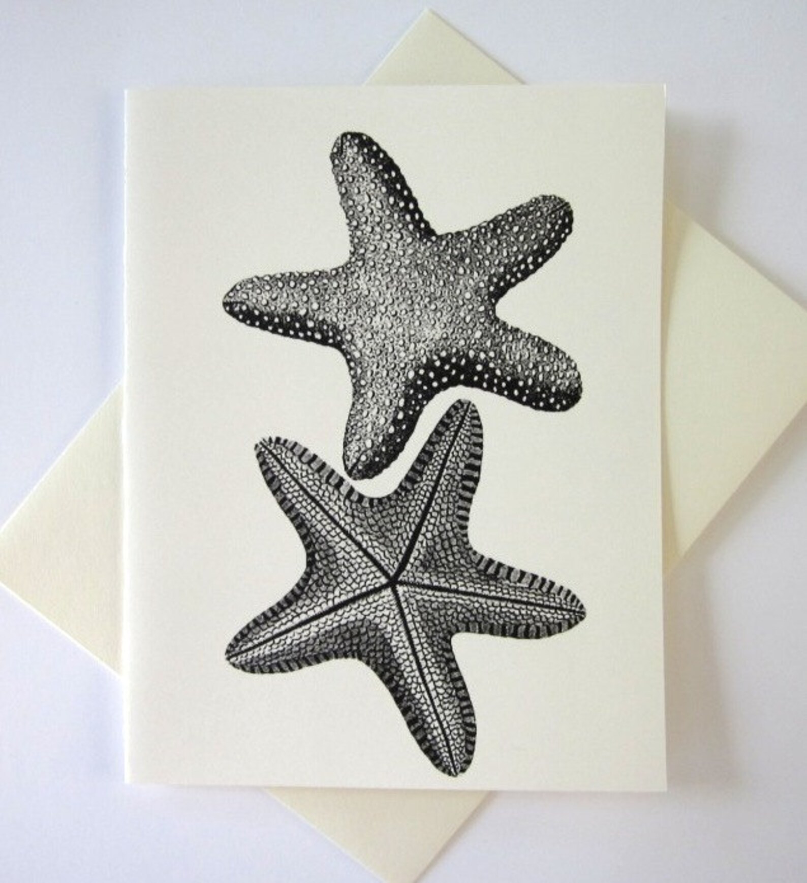 Starfish Note Card Set of 10 in White or Light Ivory With - Etsy