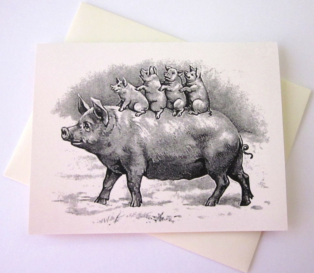 Pig and Piglets Note Card Set of 10 in White or Light Ivory With ...