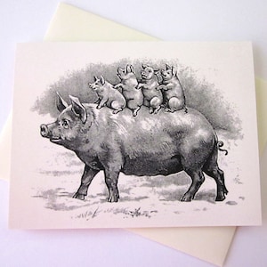 Pig and Piglets Note Card Set of 10 in White or Light Ivory With ...