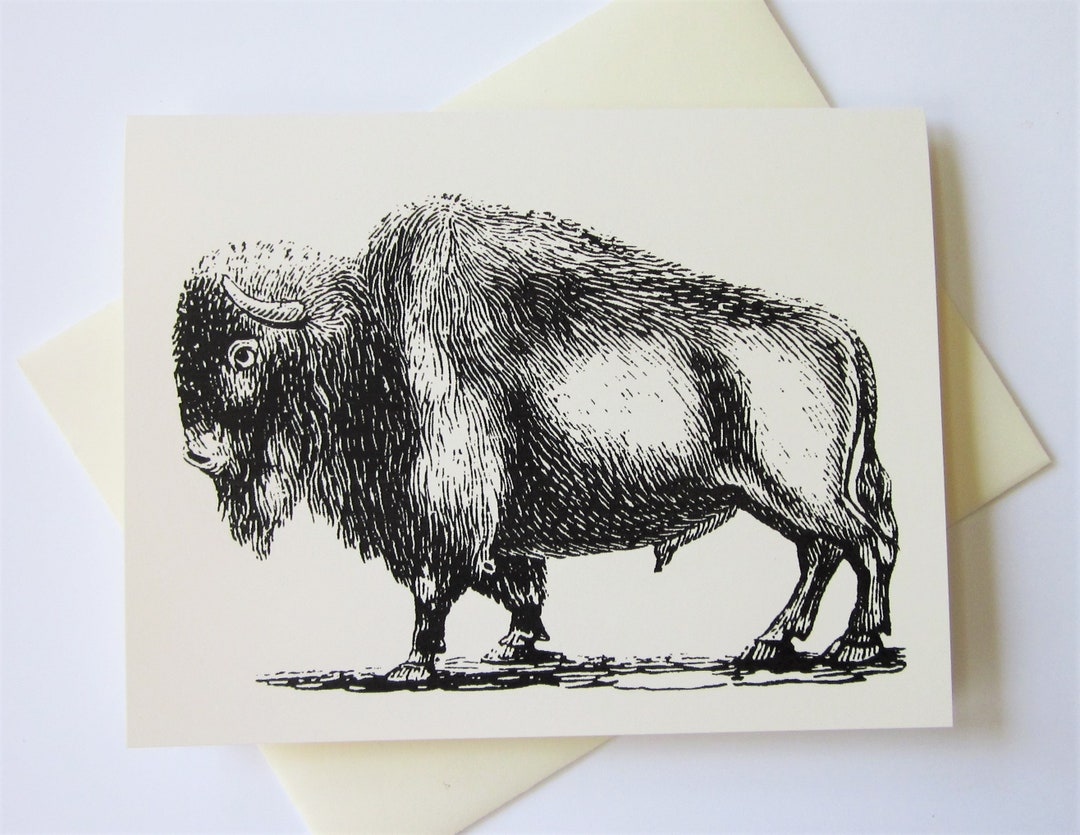 Bison Cards Set of 10 in White or Light Ivory With Matching Envelopes ...