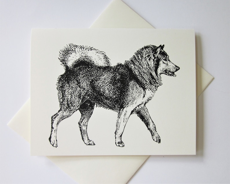 Huskie Dog Note Cards Stationery Set of 10 Cards in White or Light ...