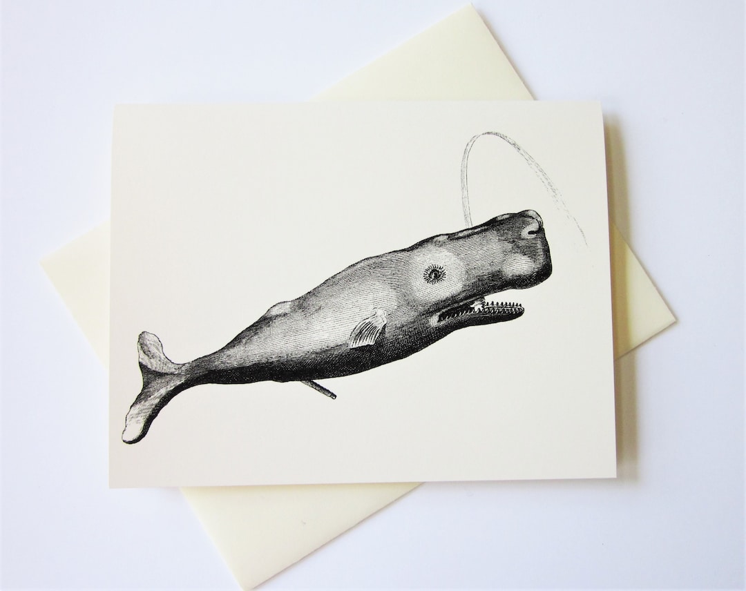 Whale Note Cards Stationery Set of 10 Cards in White or Light Ivory ...