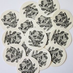 Cabbage Lettuce Tags Round Gift Tags Set of 10 - Etsy