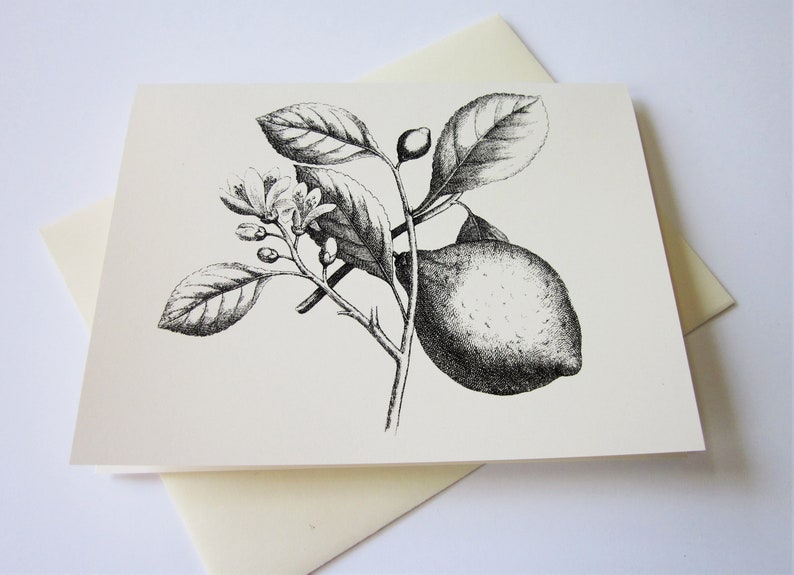 Lemon Note Cards Set of 10 With Matching Envelopes - Etsy