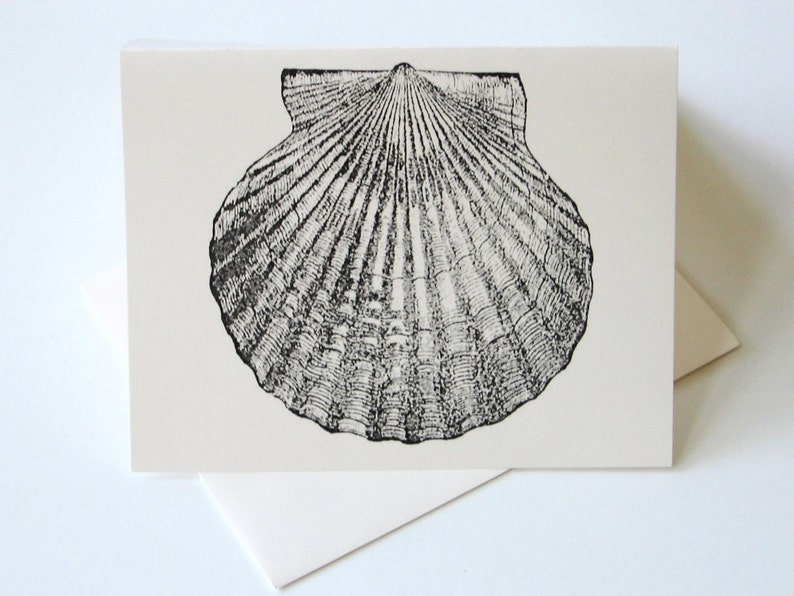 Scalloped Shell Note Cards Stationery Set of 4 Cards in White or Light ...