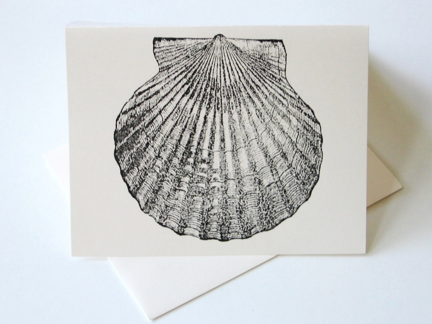 Scalloped Shell Note Cards Stationery Set of 4 Cards in White or Light ...