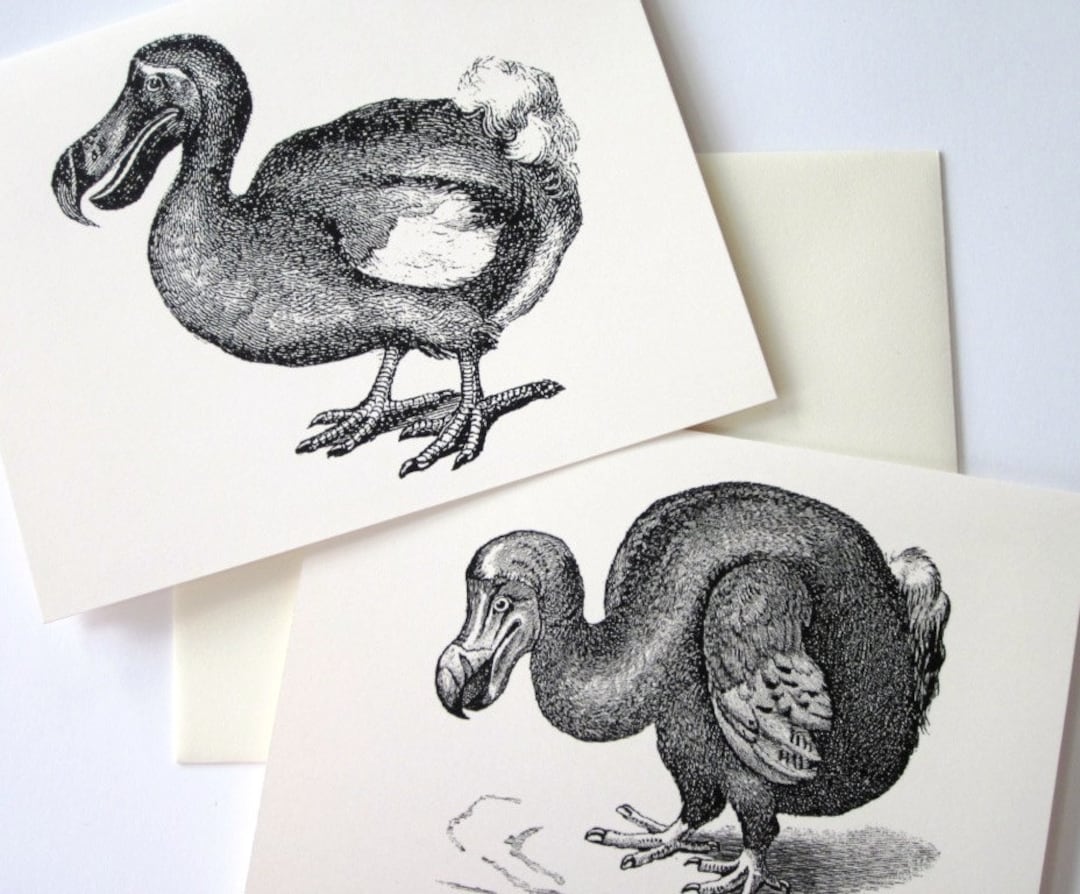 Dodo Bird Note Card Set of 10 in White or Light Ivory With Matching ...