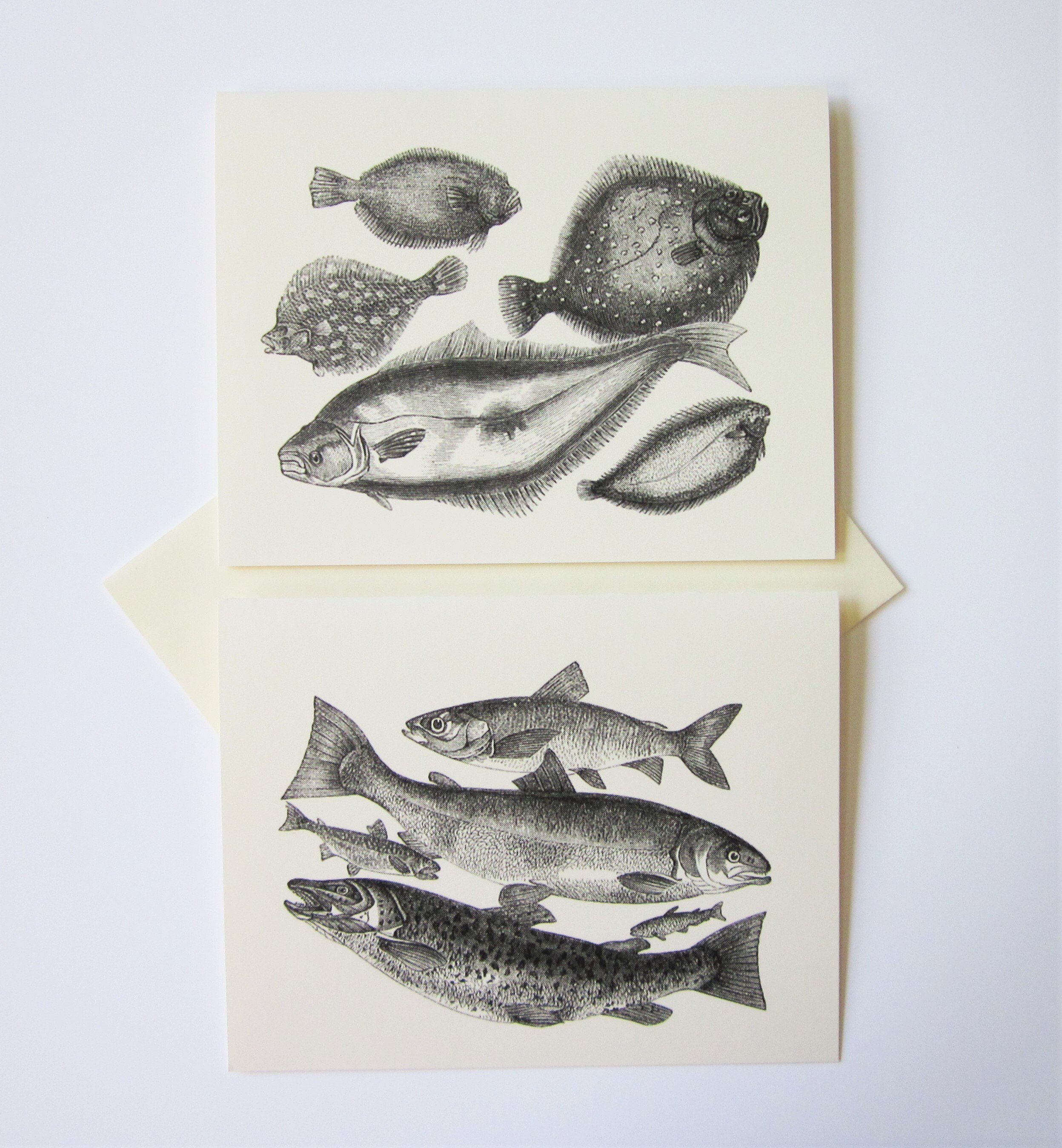 Fish Note Cards Set of 12 With Matching Envelopes - Etsy