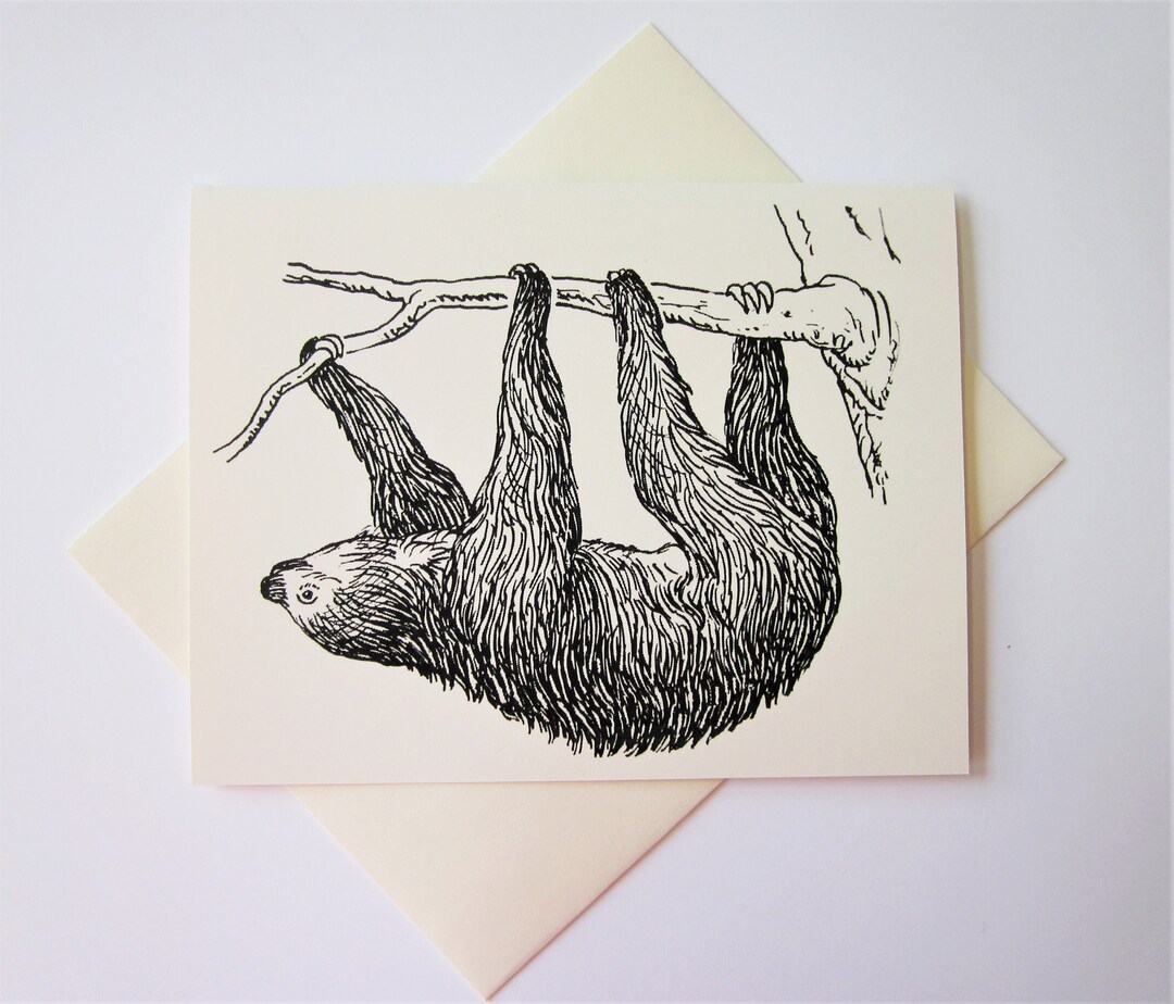 Sloth Note Cards Set of 10 With Matching Envelopes - Etsy