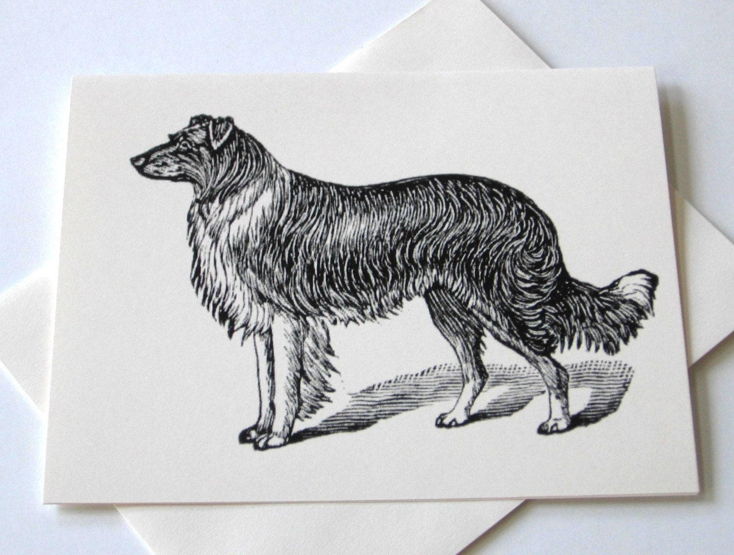 Dog Note Cards Stationery Set of 4 Cards in White or Light - Etsy