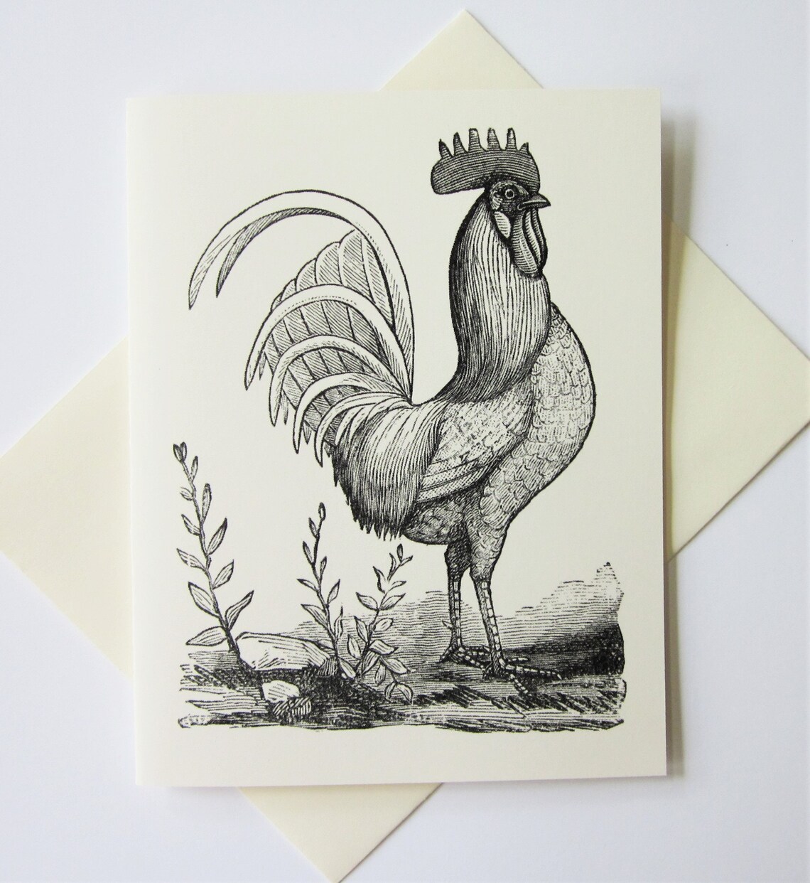 Chicken Rooster Note Cards Stationery Set of 10 Cards in White - Etsy