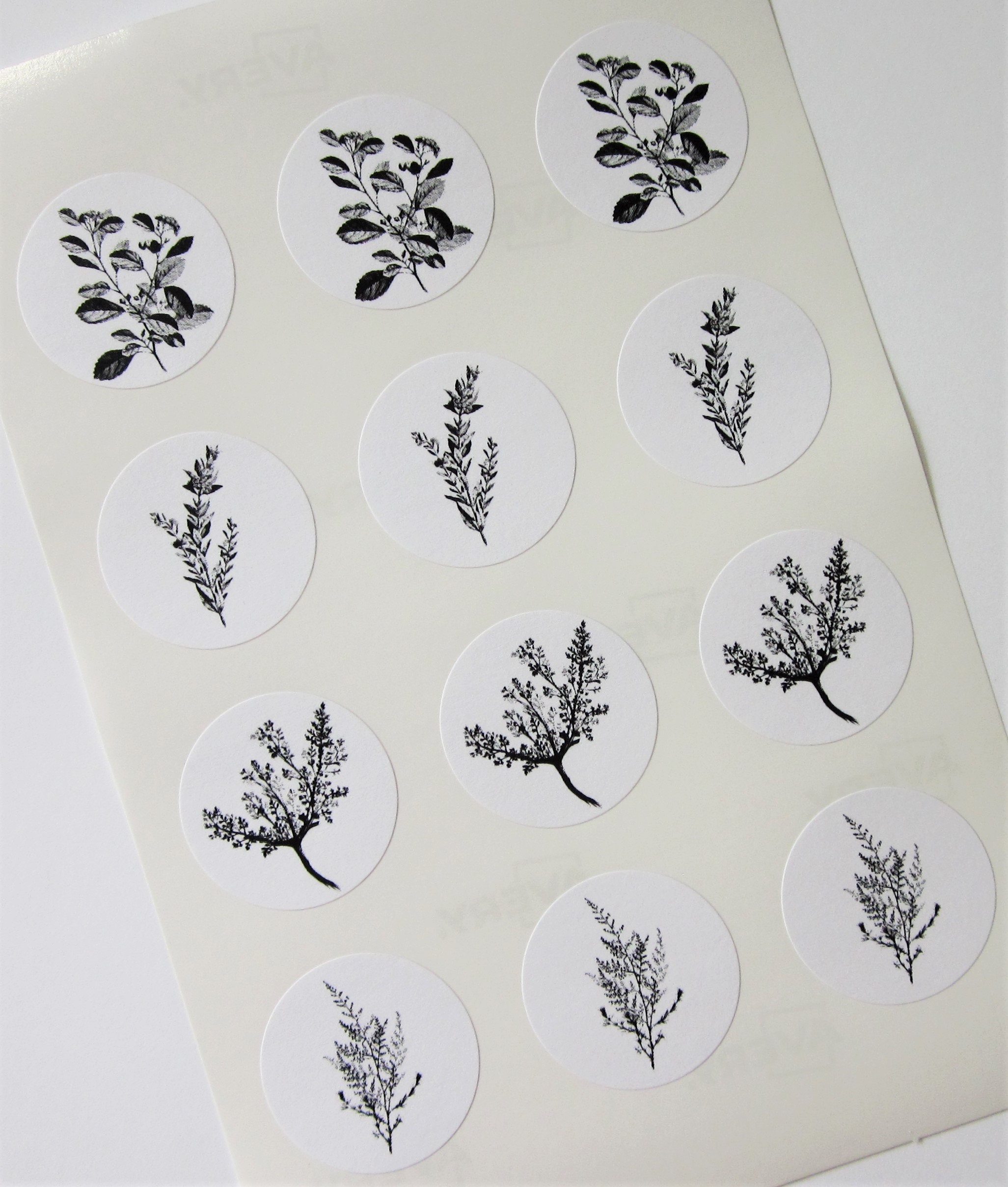Botanical Branch Stickers One Inch Round Seals - Etsy