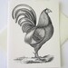 Chicken Rooster Note Cards Stationery Set of 10 Cards With Matching ...