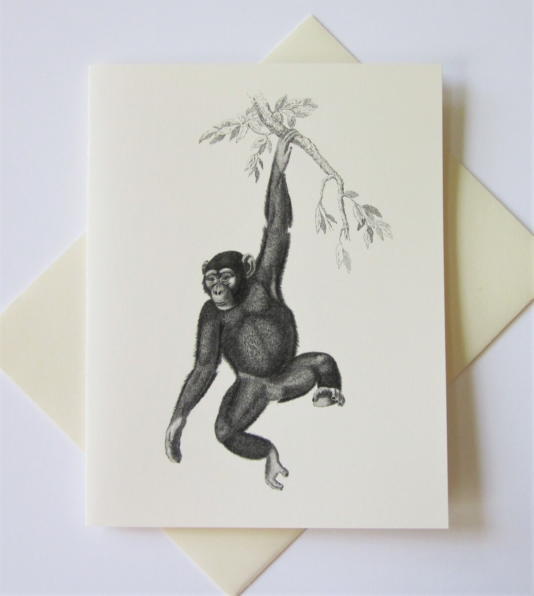 Chimpanzee Chimp Note Cards Set of 10 With Matching Envelopes - Etsy UK