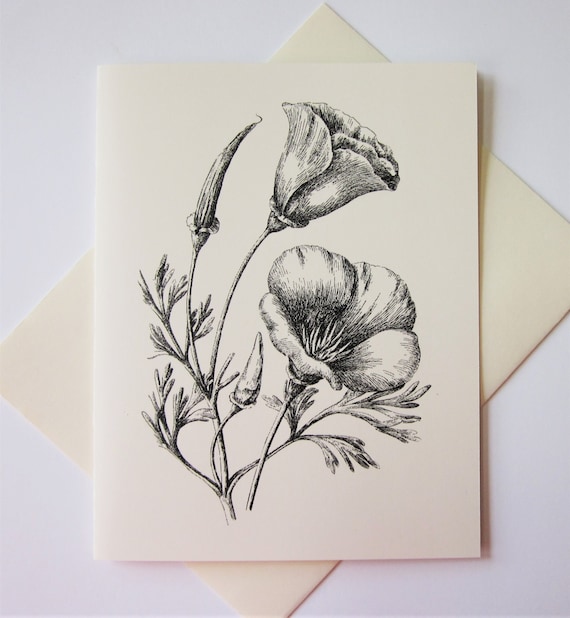 Poppies Poppy Flower Note Cards Set of 10 With Matching | Etsy