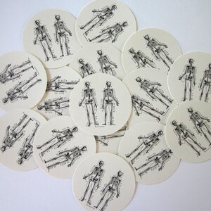 Skeleton Tags Round Paper Gift Tags Set of 10 - Etsy