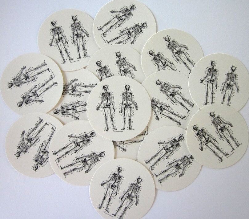 Skeleton Tags Round Paper Gift Tags Set of 10 - Etsy