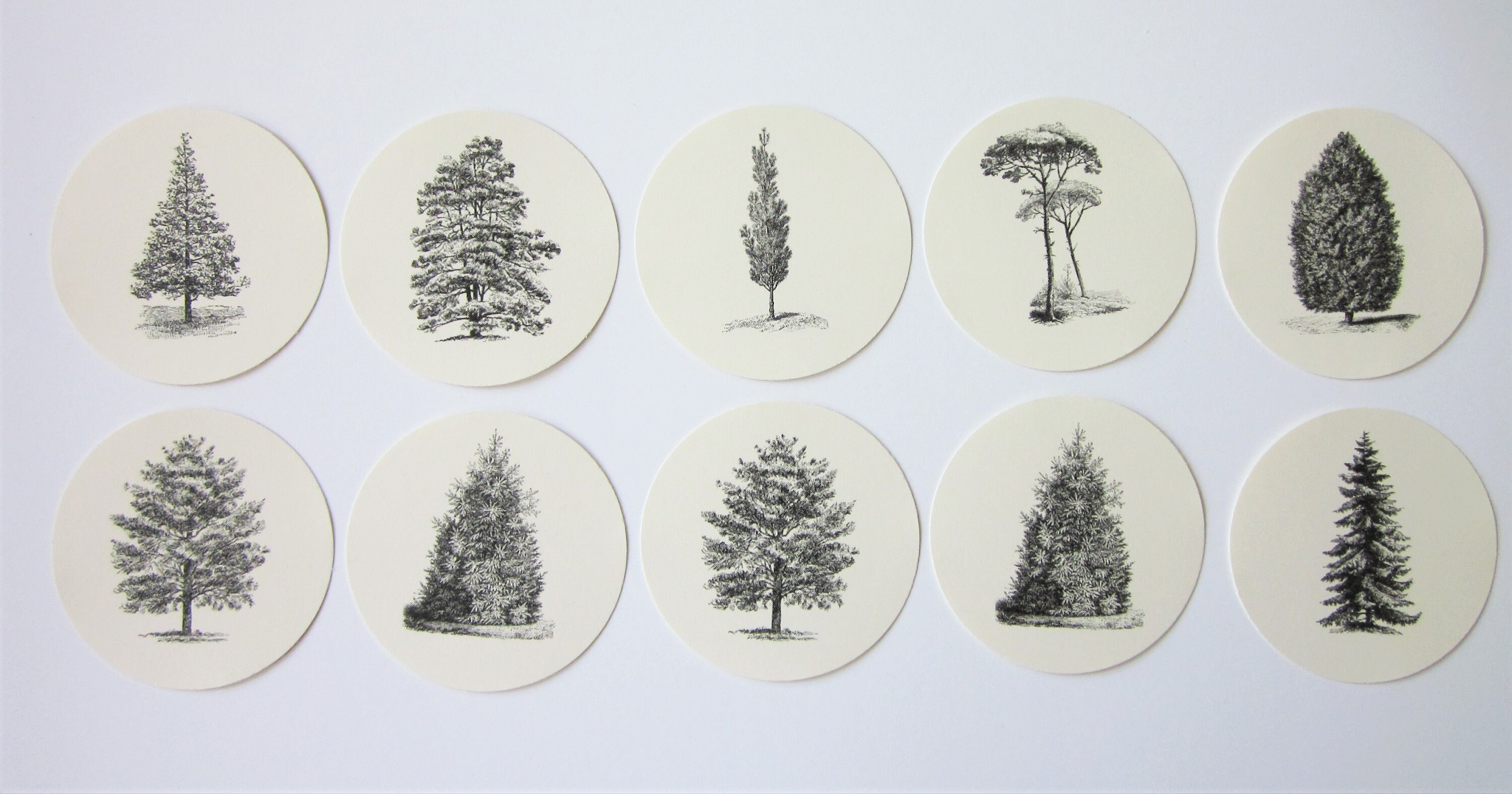 Pine Tree Tags Round Gift Tags Set of 10 - Etsy