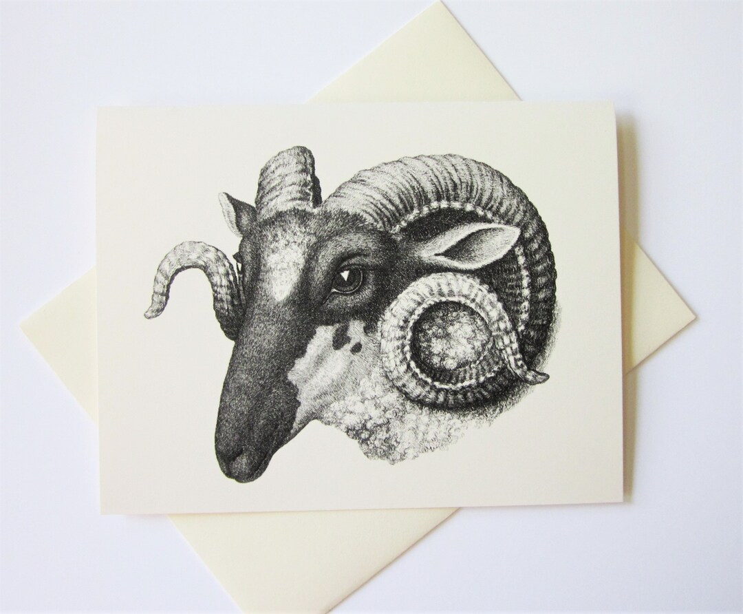 Ram Note Cards Set of 10 With Matching Envelopes - Etsy