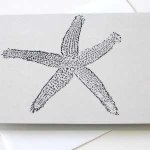 Starfish Note Cards Stationery Set of 10 Cards in White or Light Ivory ...