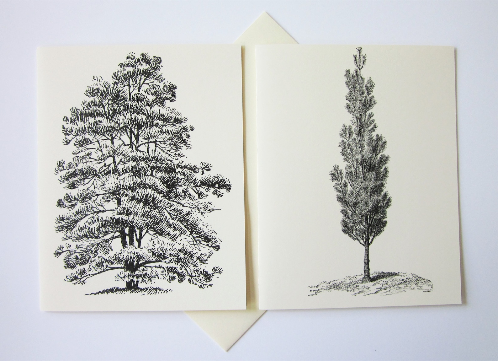 Pine Tree Note Card Set of 10 in White or Light Ivory With Matching ...
