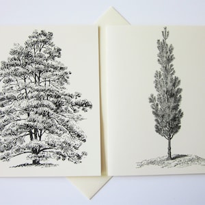 Pine Tree Note Card Set of 10 in White or Light Ivory With Matching ...