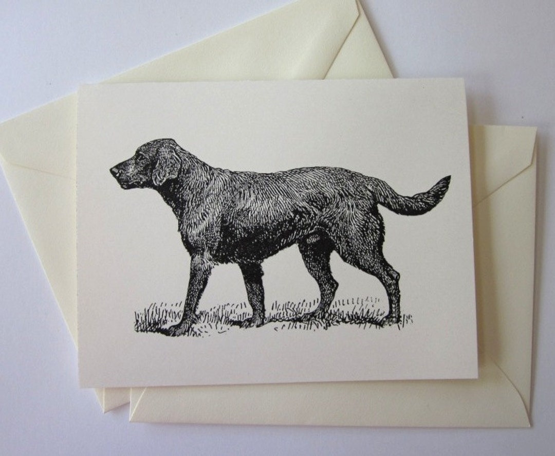 Black Labrador Retriever Dog Note Cards Stationery Set of 10 Cards in ...