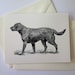 Black Labrador Retriever Dog Note Cards Stationery Set of 10 Cards in ...