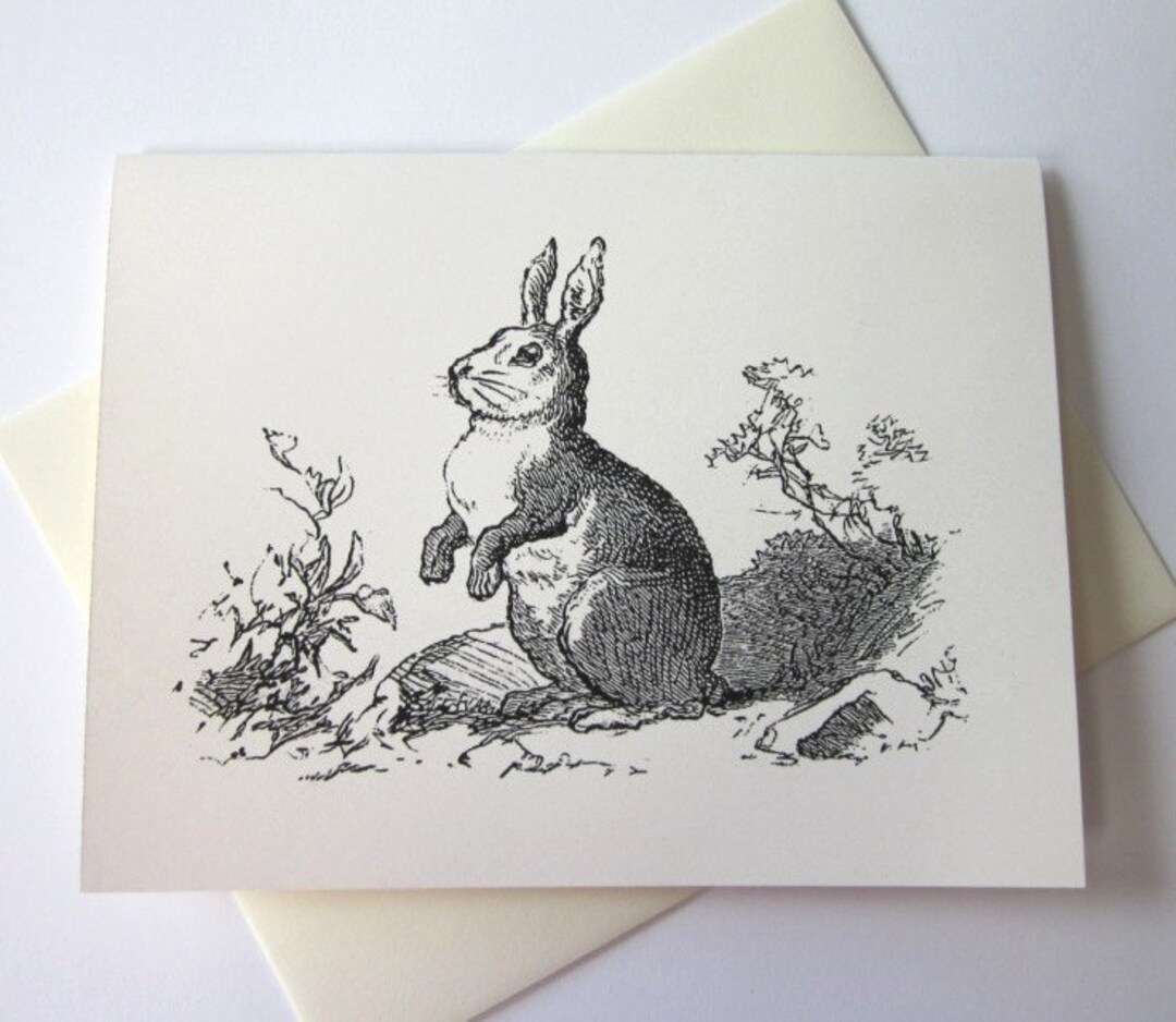 Rabbit Bunny Note Cards Stationery Set of 10 Cards in White or Light ...
