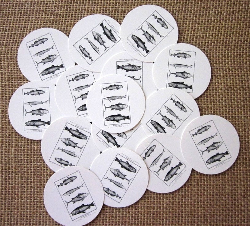 Fish Tags Round Paper Gift Tags Set of 10 - Etsy