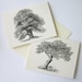 Tree Note Card Set of 10 in White or Light Ivory With Matching ...