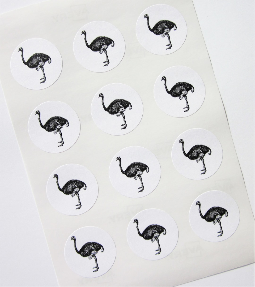 Ostrich Stickers One Inch Round Seals - Etsy