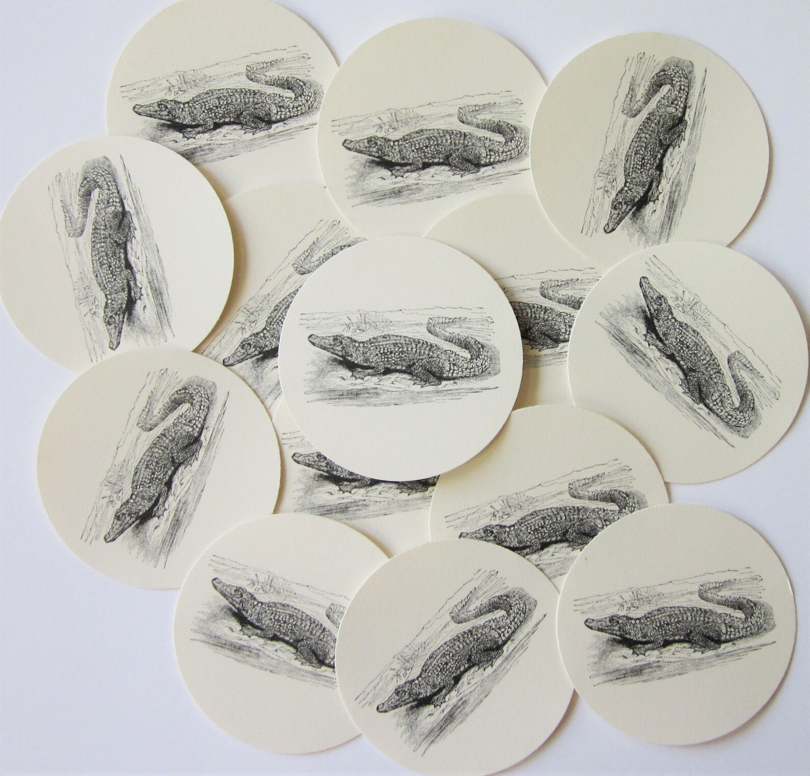 Alligator Tags Round Gift Tags Set of 10 - Etsy