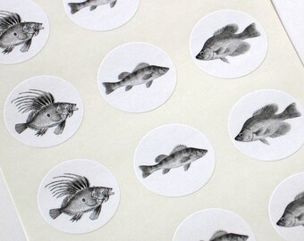 Fish Trout Stickers One Inch Round Seals | Etsy