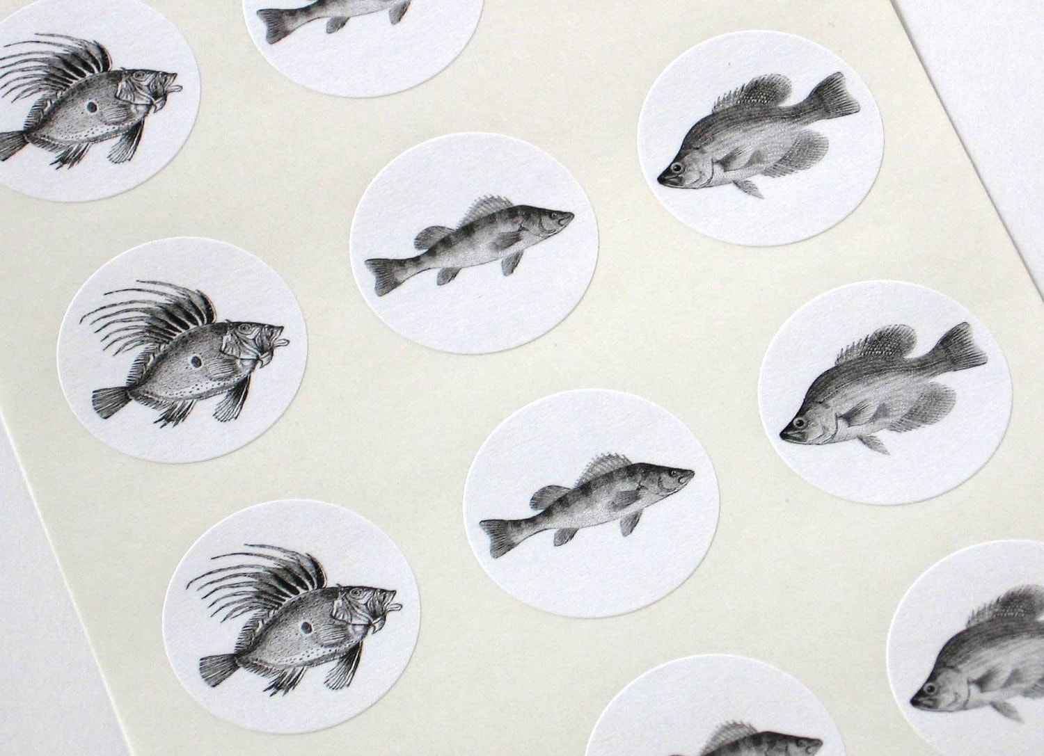 Fish Stickers One Inch Round Seals | Etsy